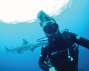 Scuba Diving - Ryan Koss